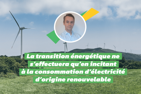 Rodolphe Schennen de Commerg : booster la demande d'électricité verte ...